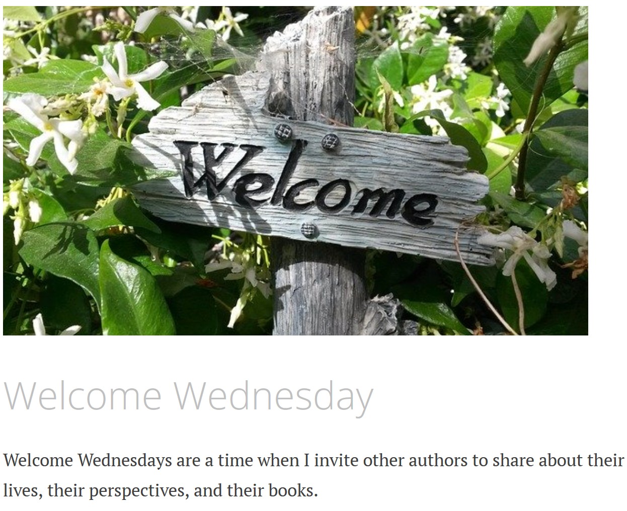 Top 10 Author Interviews – Heart Soul Mind